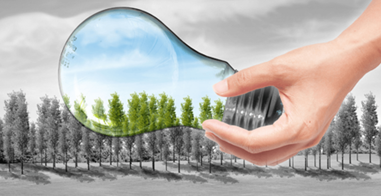 AVANCES TECNOLÓGICOS QUE APORTAN AL MEDIO AMBIENTE